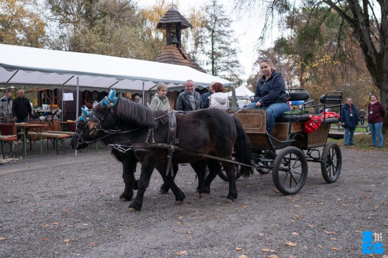 » Szent Márton nap a Göcseji Falumúzeumban - Zalaegerszeg